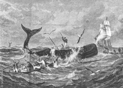 Planet Portugal: Das Walfangmuseum von New Bedford