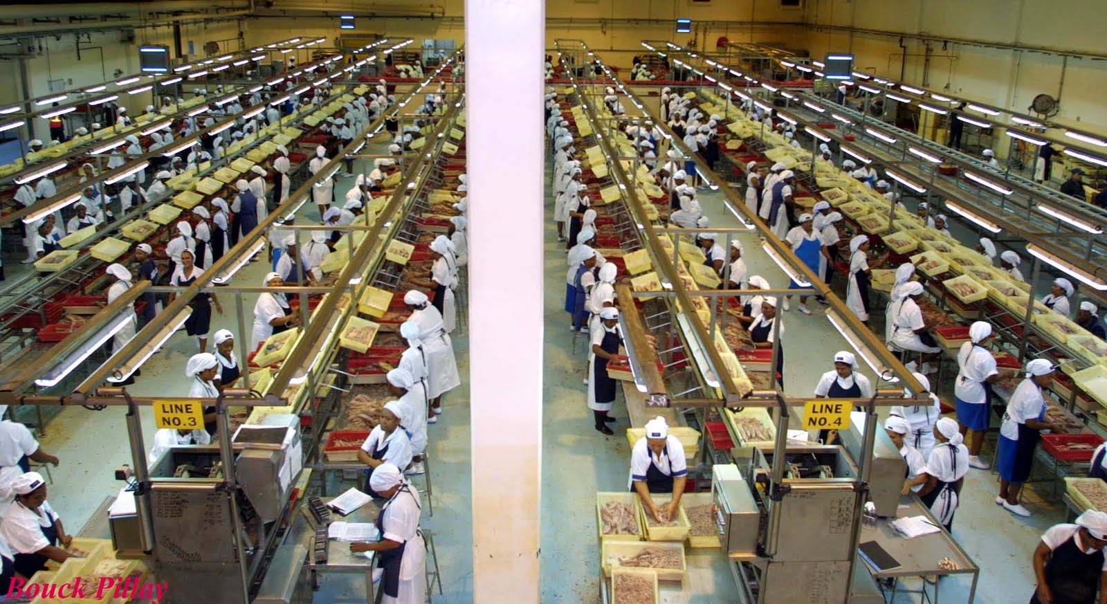 Bouck Pillay Photography: Seafood Hub