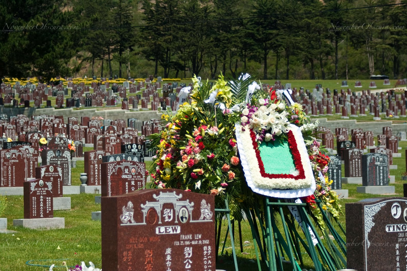 Gothic Tea Society: "Did You Know?" Interesting Facts About Cemeteries.