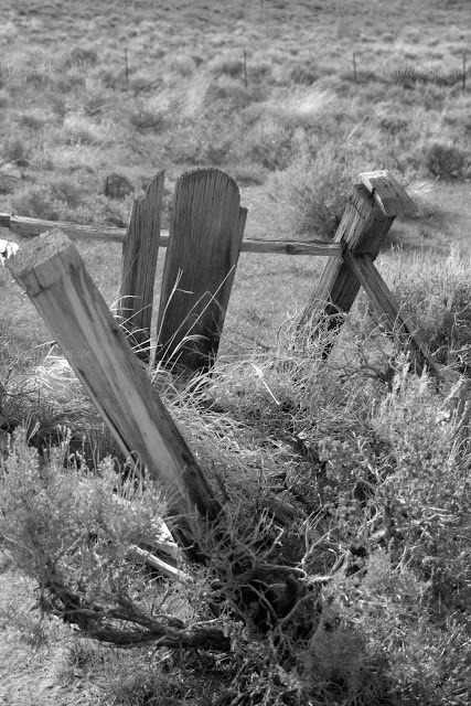 November Obscura: Miners Union Cemetery- Bodie