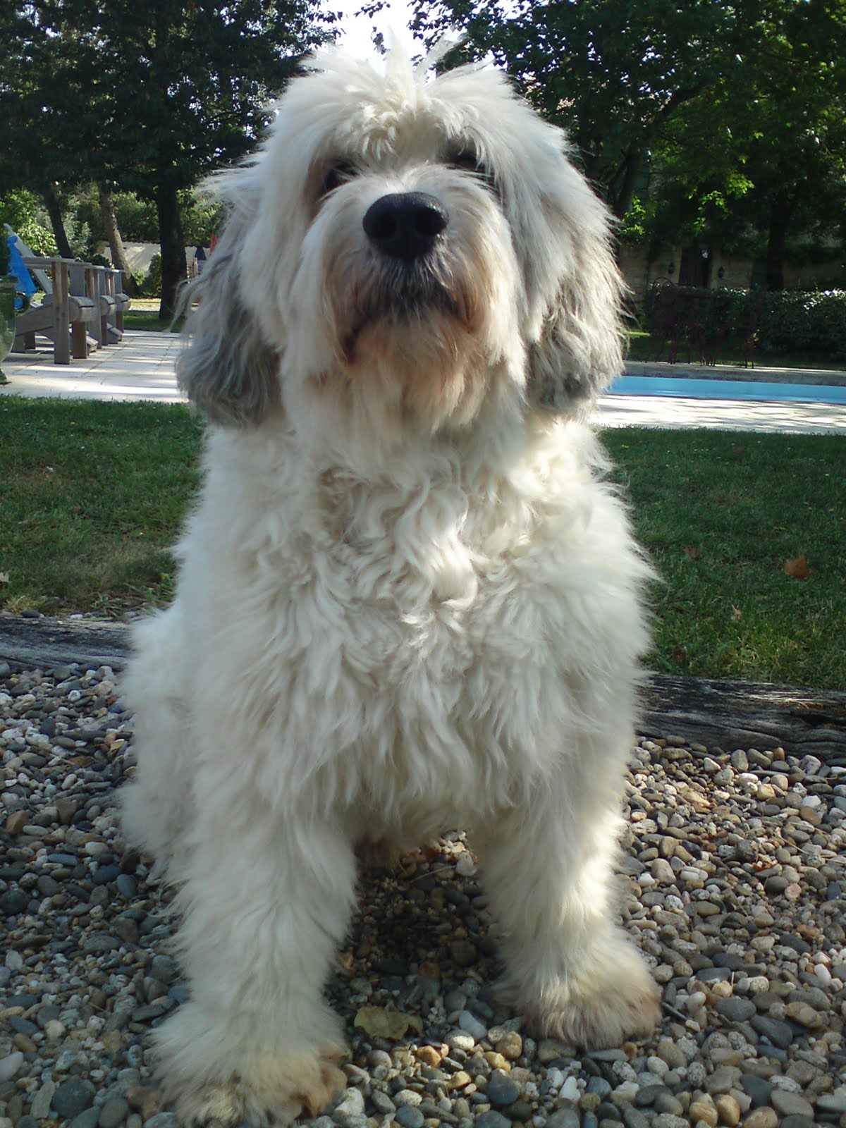 Wilf the PON discovers France.: Heat and the Rubenesque figure.