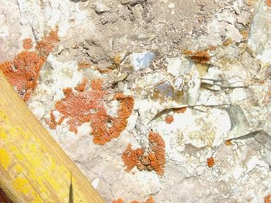 Giant Opal Deposit Discovery Along Highway: Cedar Rim Opal Deposit ...