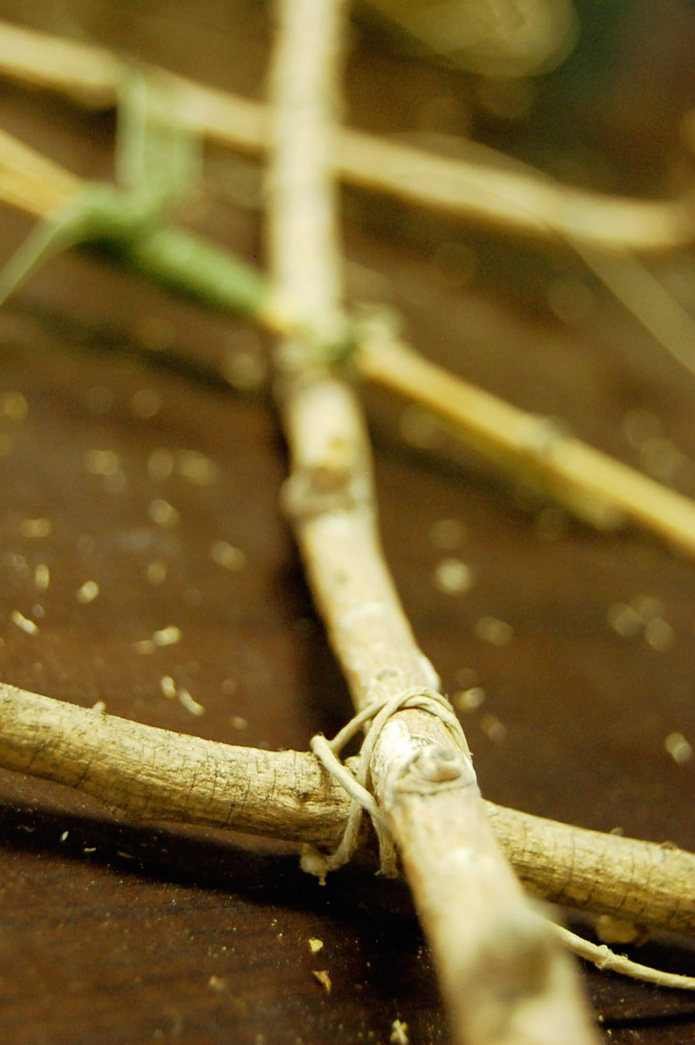 Toad's Treasures Lifestyle Family Blog by Emily Ashby: Twig Decoration ...