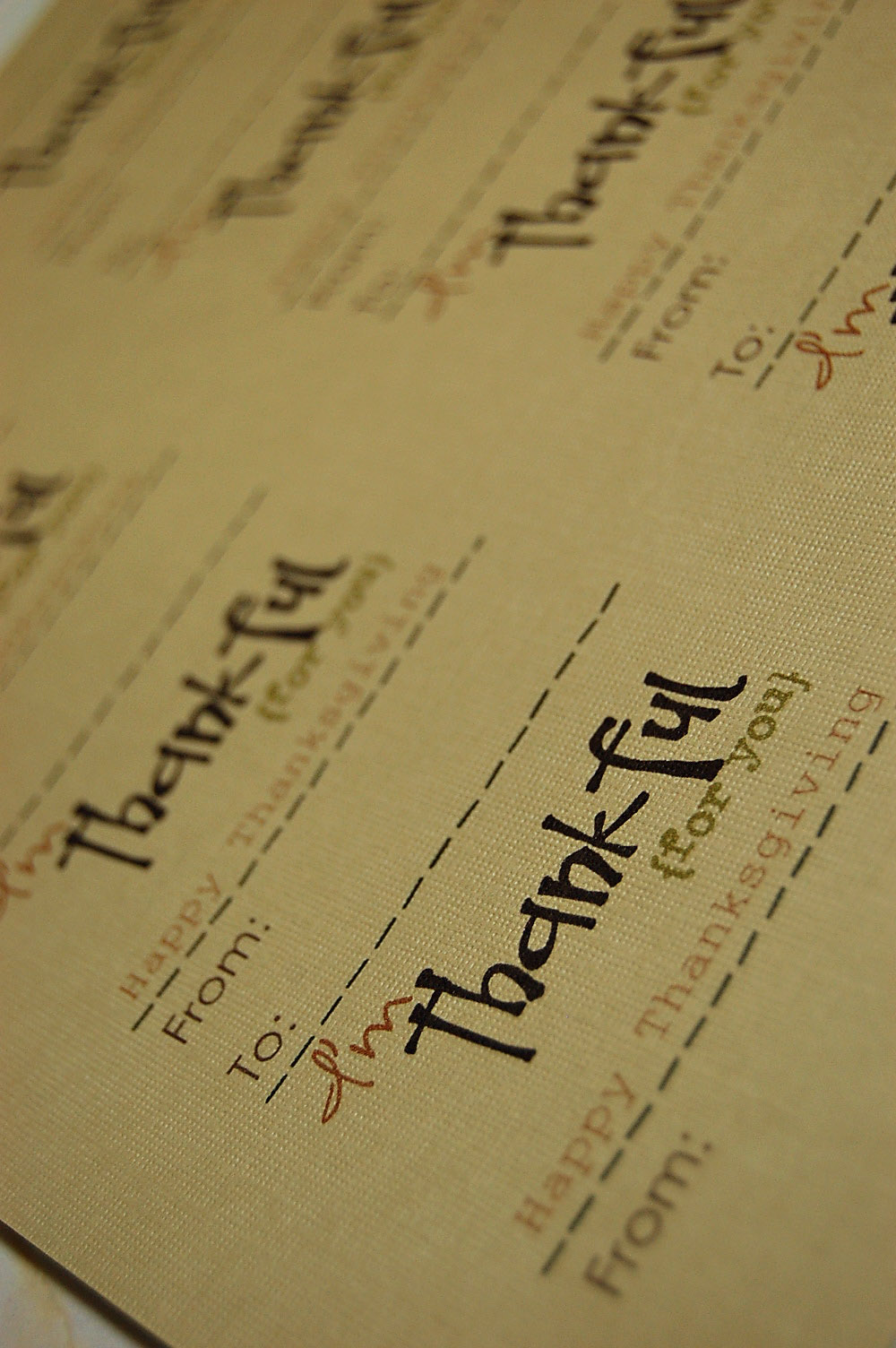 Toad's Treasures Lifestyle Family Blog by Emily Ashby: "Thanks ...