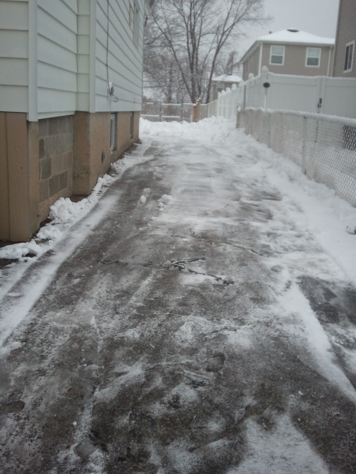 gardening in the boroughs of nyc: It's hard to think about Spring, when ...