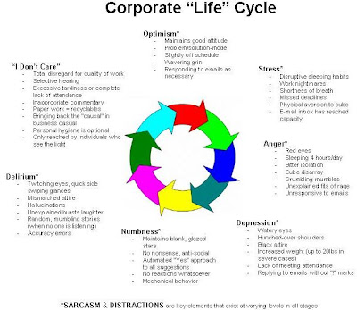 Stuck: The Corporate Life Cycle