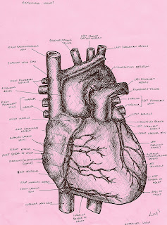 Be Spoke: Pink Anatomy