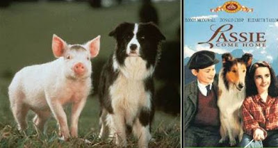 10 rase de caini in filme (1/3)