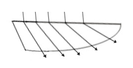 Flapping Wing: Basic properties of the flapping wing and features of ...
