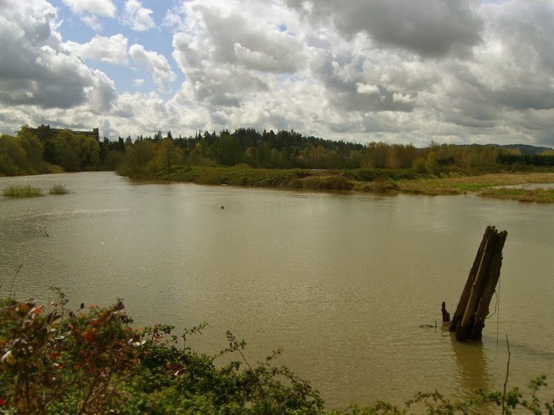 artit: Travel Around | Natural Day in Salem, Oregon