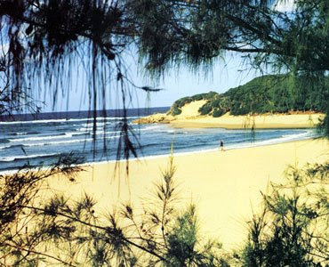 Tagaxinho: Inhambane, Praia do Tofo