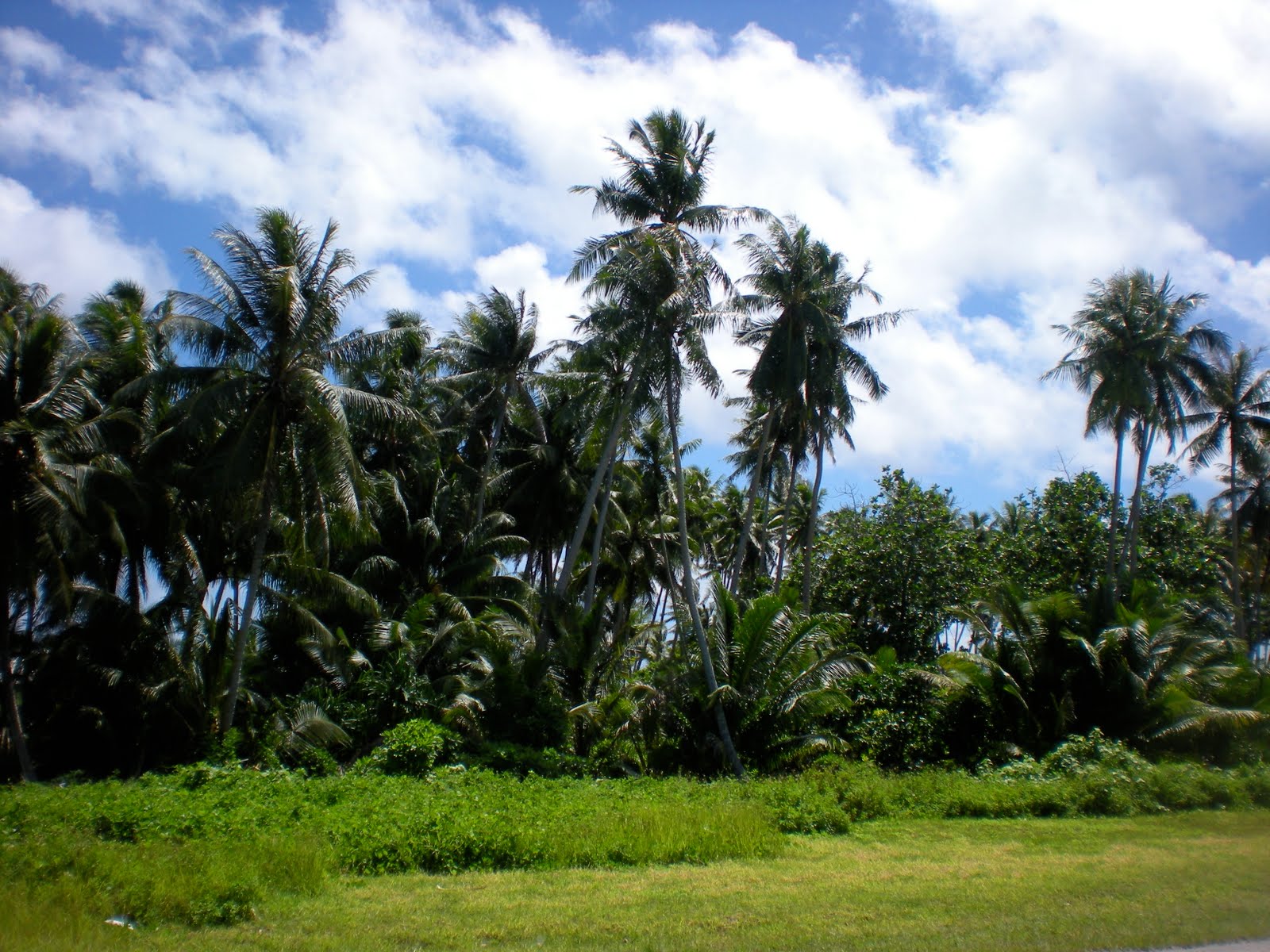 Life on the Marshall Islands: Arriving at Majuro & Life in Ajeltake