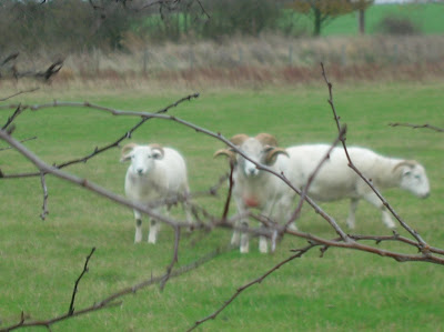 The View from Cullingworth: Medieval lamb stew - and how cooking ...