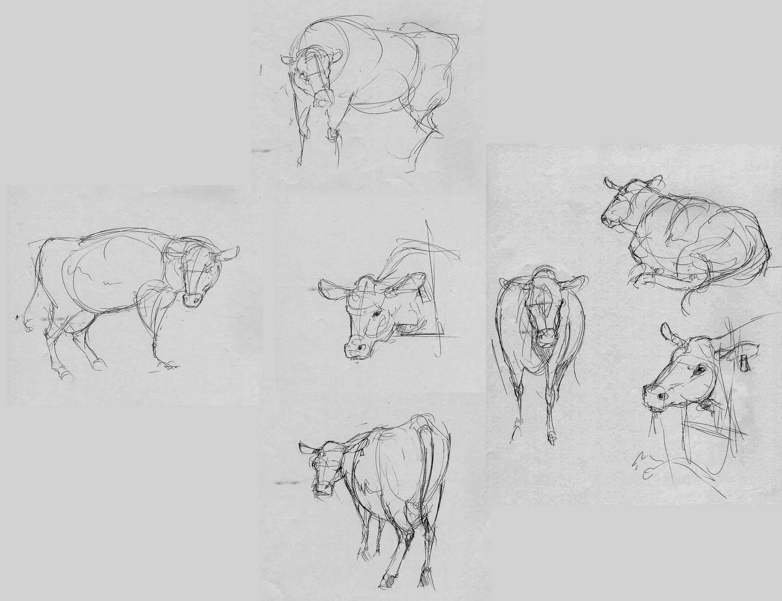 Coloring Picture Of A Cattle Drive Coloring Pages