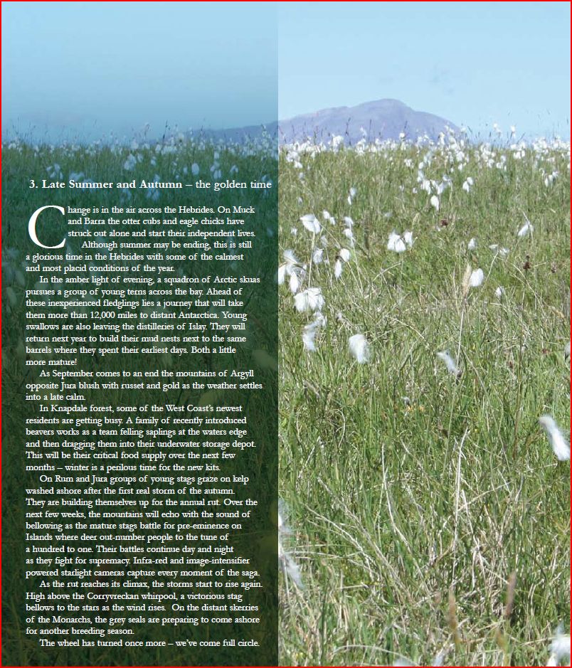 Islay Natural History Trust: BBC commission major new series featuring ...