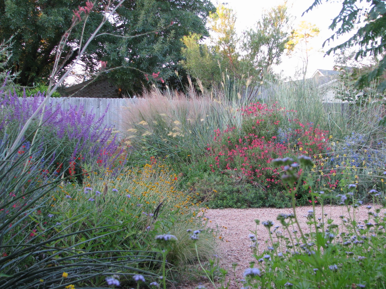 Plano Prairie Garden: Fall on the Prairie