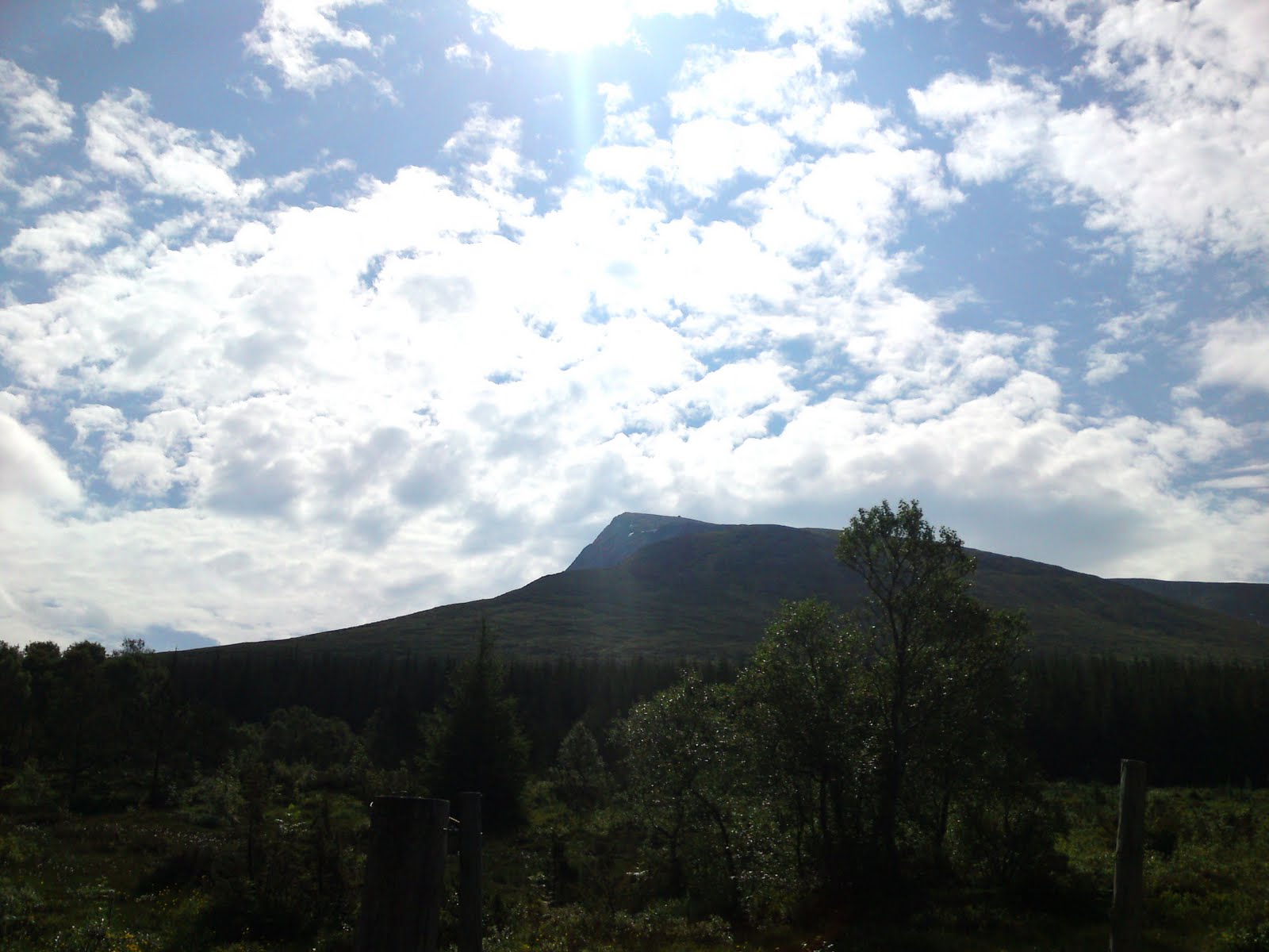 Kompassrosa : " Et hav av muligheter " i Averøy: 03.07.10 Kvannfjellet ...