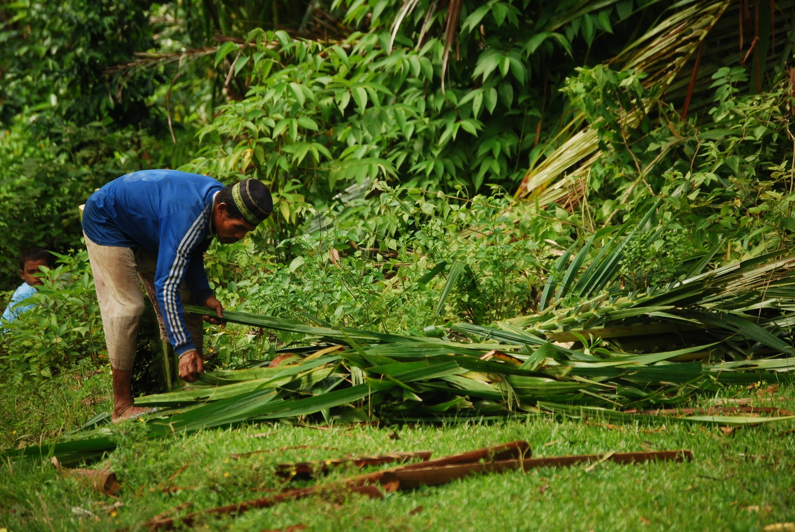 Au Kurie'e: Salah satu contoh dari masyarakat maluku yang kehidupannya ...