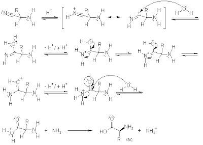 Mechanism of Strecker Synthesis | Chemistry Zone