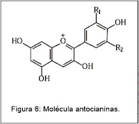 Construyendo a ciencia cierta: estudio de pigmentos vegetales