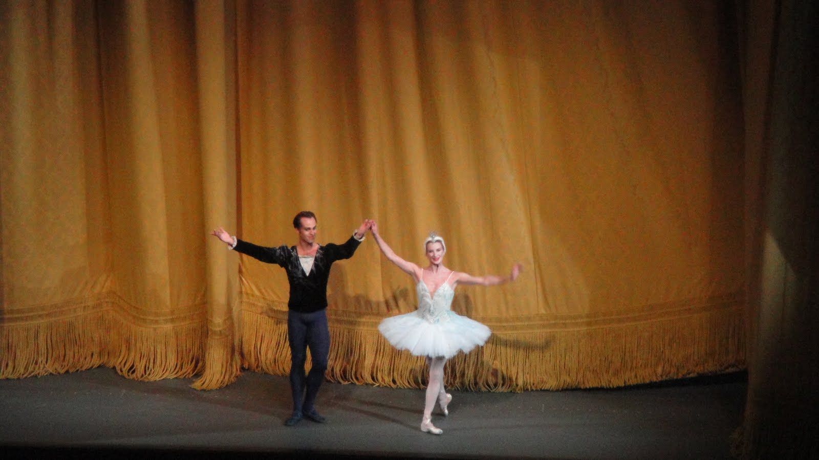 Murphy's (New) Law: Swan Song: Retirement of Ballerina Darci Kistler