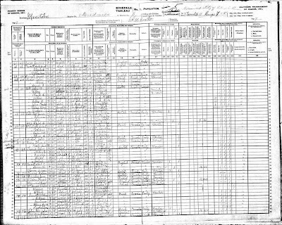 Runesmith's Canadian Content: Fun Facts About the Census