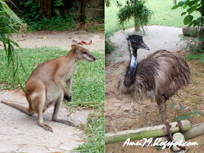 CHANGE, CHANGE & CHANGE: Day 2 In Singapore