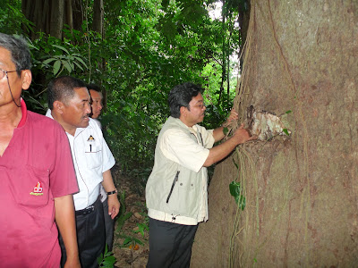 ADUN N6 TEMPASUK KOTA BELUD SABAH: SEJARAH PERANG PANDASAN PERLU ...