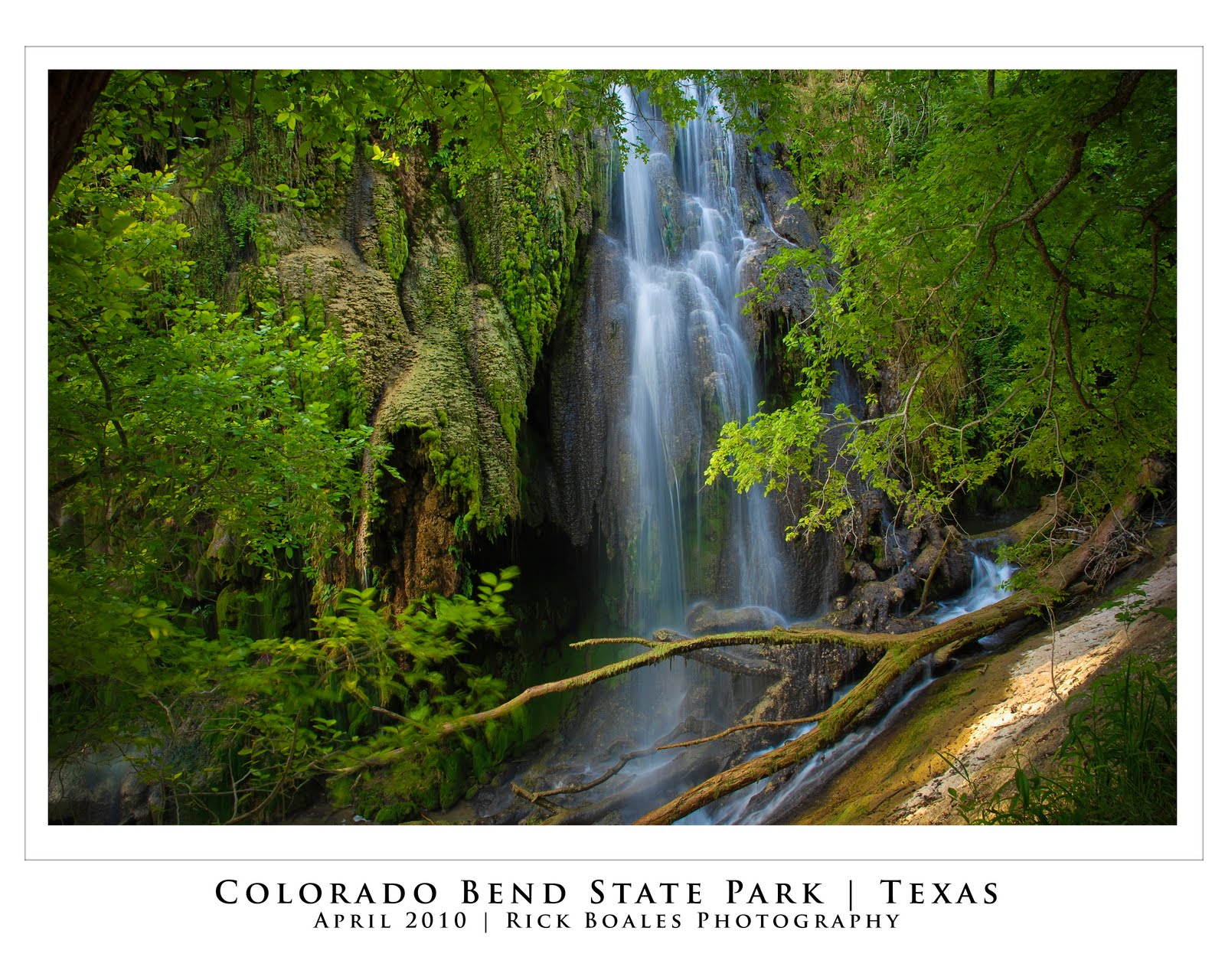 f8 and a coffee break....: Gorman Falls at Colorado Bend State Park