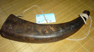 DUIT LAMA & BARANG ANTIK: Tetuang Dari Tanduk Kerbau