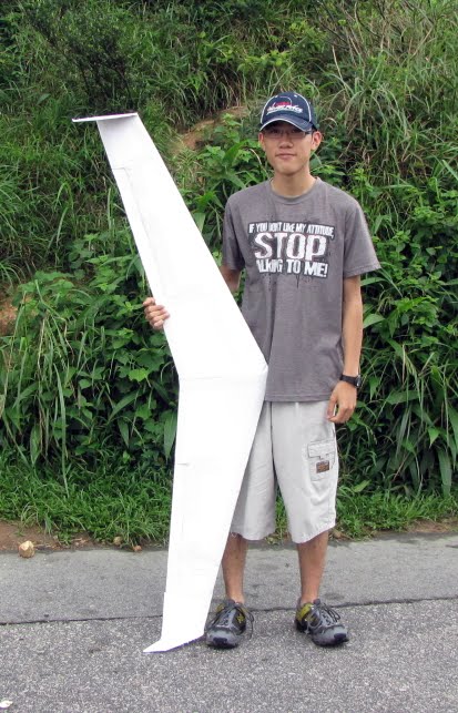 RC Ivan: The Giant Flying Wing