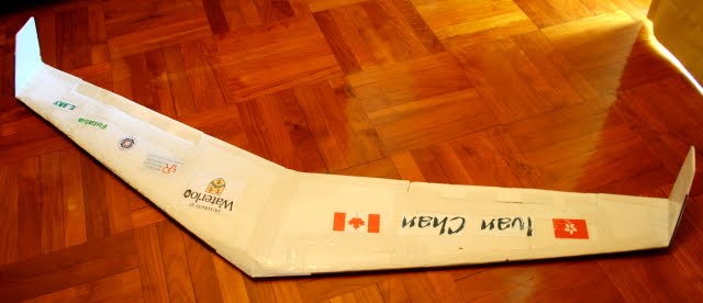 RC Ivan: The Giant Flying Wing