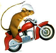 Mouse and the Motorcycle