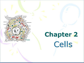GCE O Level Biology: Chapter 2 Cells