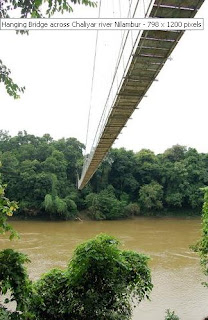 Malayalam Images: Hanging bridge - Nilambur forest