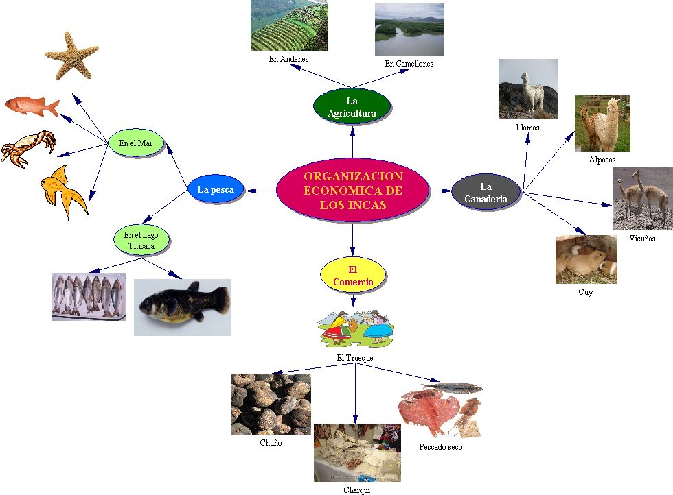 Temas Importantes: ORGANIZACIÓN ECONÓMICA DE LOS INCAS