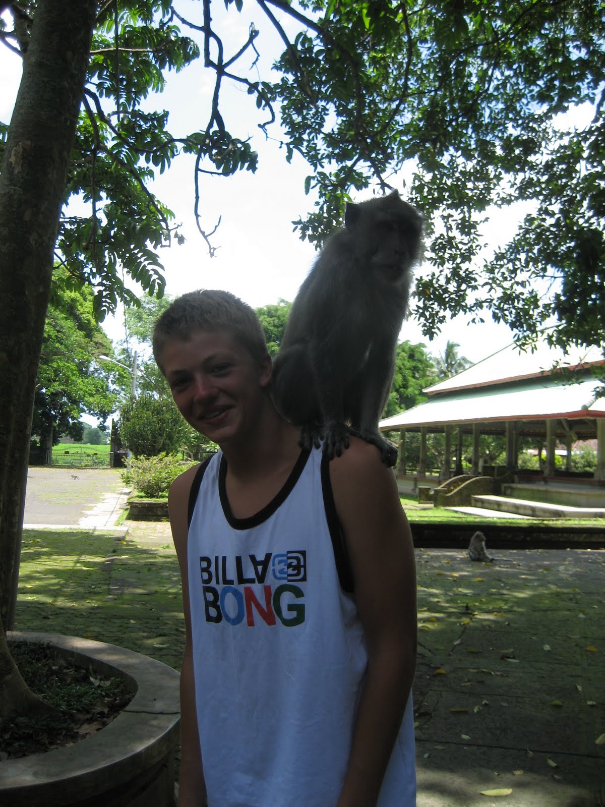 The Abbotts on Vacation: October 11th Day Trip Around Bali