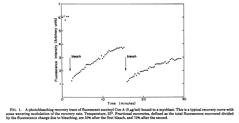 Haustral Churnings: How do we know the structure of cell membranes (part 5)