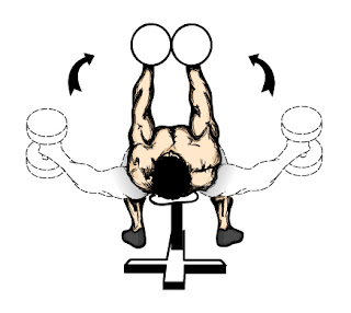 All About Health: Chest Exercises - Dumbbell Fly