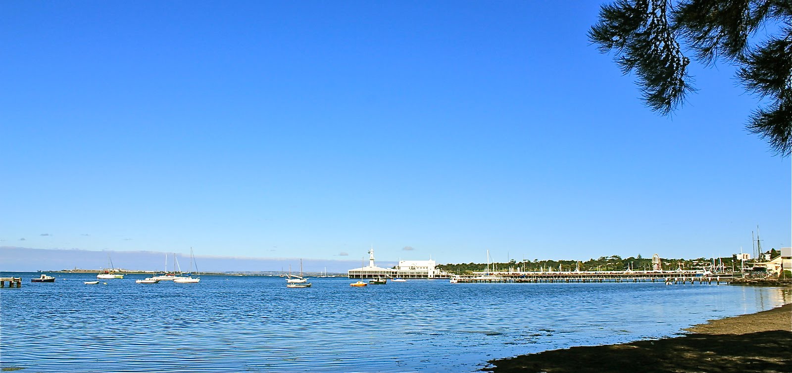 My Melbourne Experience, and beyond: along the shores of corio bay ...