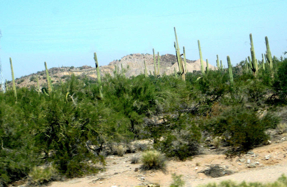 Diary: MEXICO THREE: The Road to Tijuana