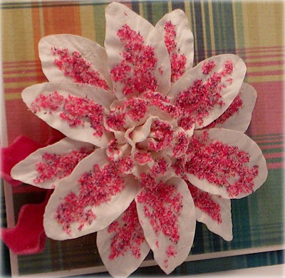 Dream in Color...: An Ultra Fine Flower Soft Flower