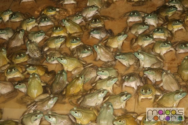 Eating My Way Around the World: HONORING TIMES & SEASONS