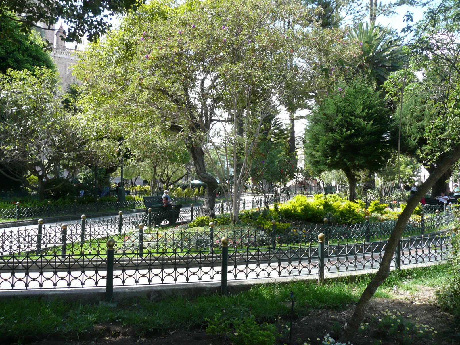 Julie & Harold Head to Ecuador: Jan 14 in Cuenca -- Parque Calderon