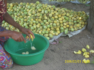 MISSANGANI: CANHU, MARULA & ESTÓRIAS