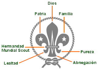 QUE SIGNIFICA SER SCOUT - Scout Grupo 14 (G14)