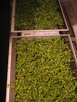 The NonconFERMist: Drying Hops with a DIY Hops Dryer...