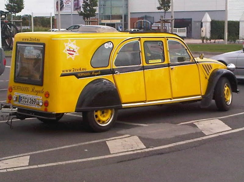 crenimugil-labrosus: Stretch 2cv