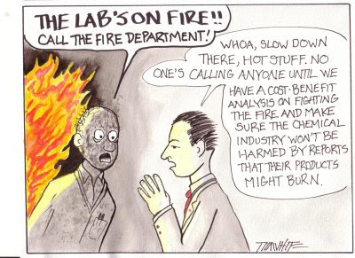 The Back of Class: November 2008