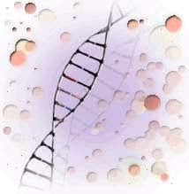 EVOLUÇÃO DOS SERES VIVOS: Material genético-DNA